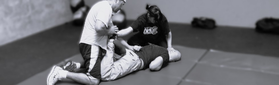 CUSTOM TRAINING – C2 Core Combatives